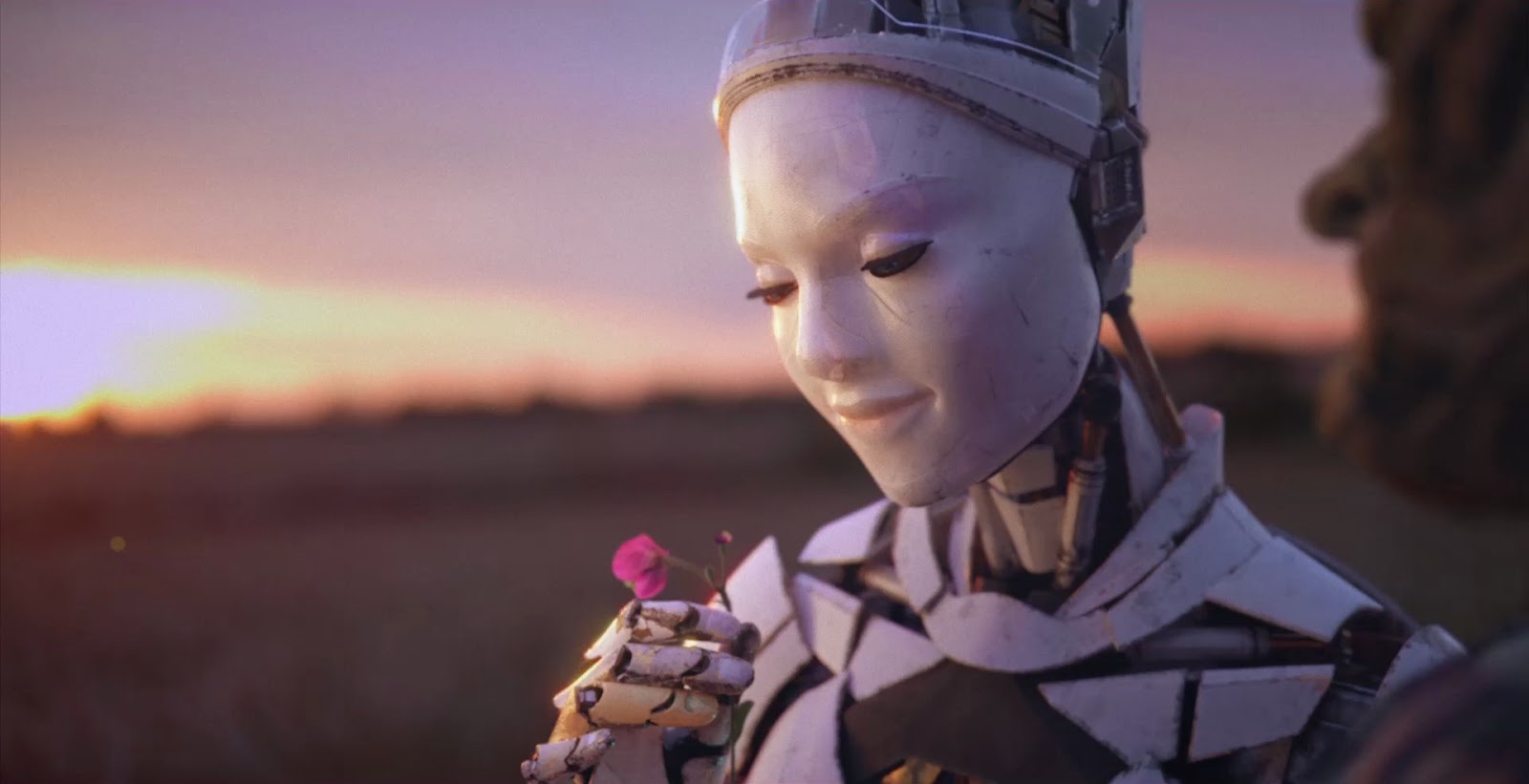 Curta da Semana: "Robot & Scarecrow" - somos robôs e espantalhos em um ...