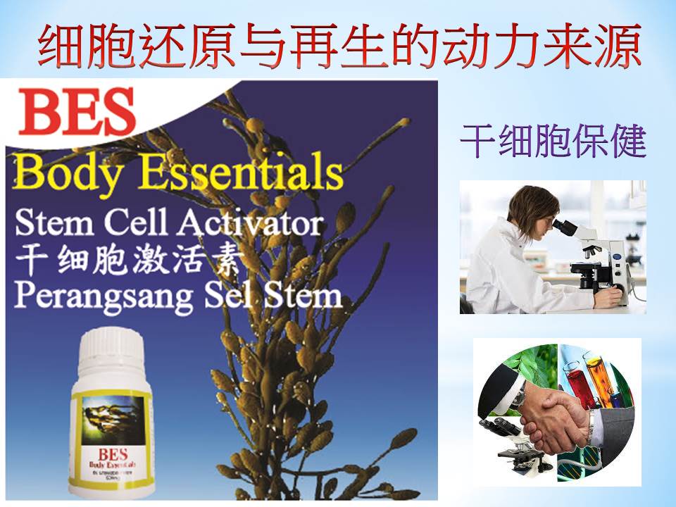 True Prolife Sdn. Bhd.