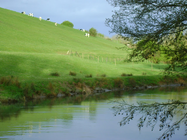 Canche pêche: Photos de Canche