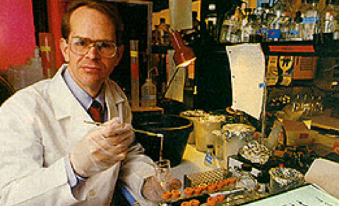 NephiCode: A Second, Closer Look at DNA – Part II