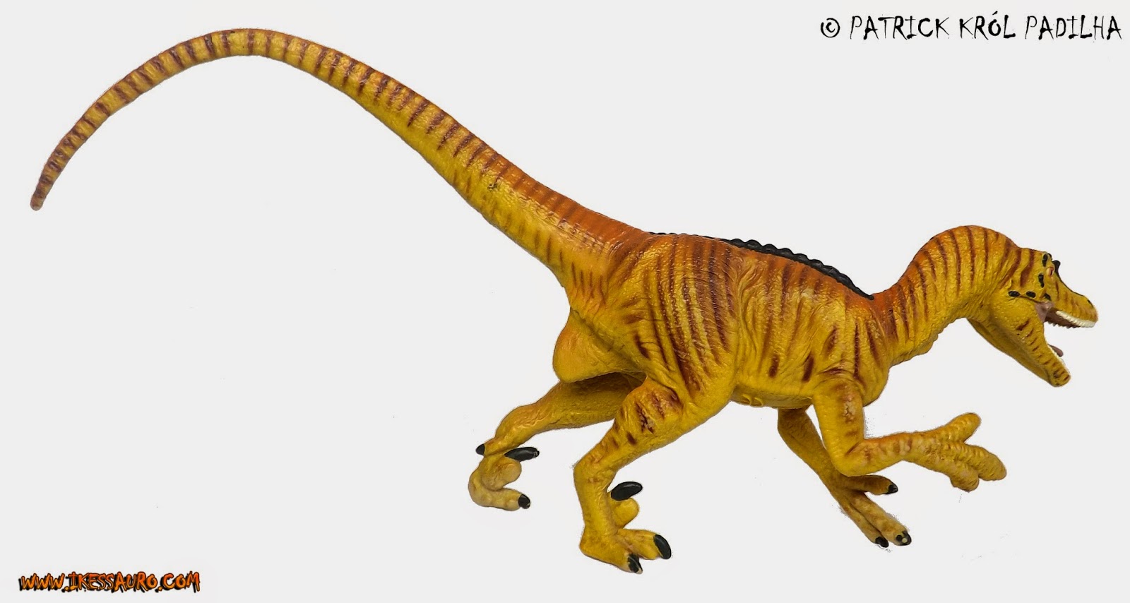 Velociraptor Speedy Predator (Safari Ltd.) | Ikessauro