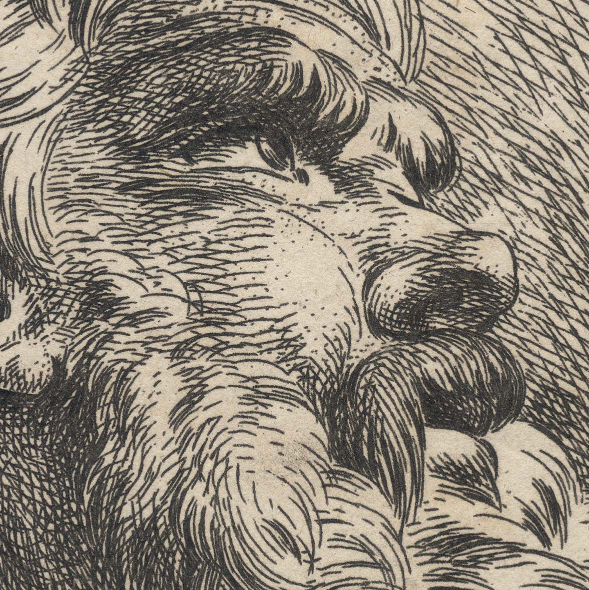 Prints and Principles: A pair of Jean Baptiste Huet’s etchings of heads ...