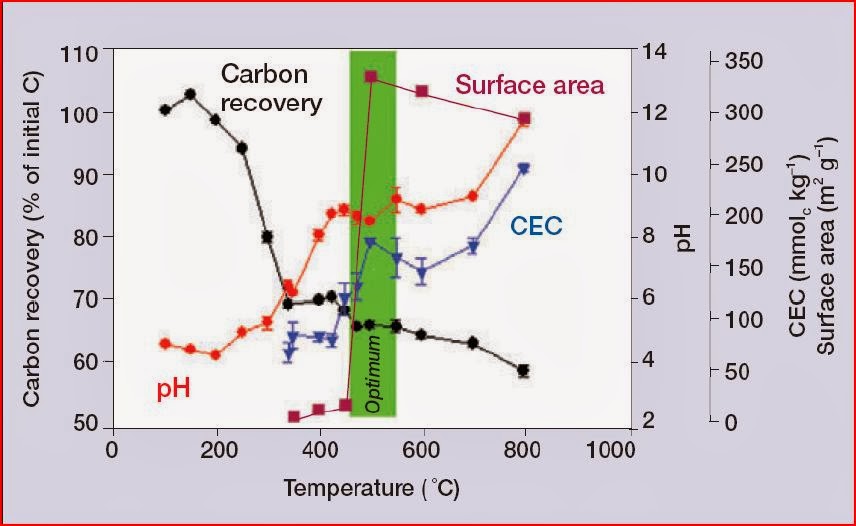 Bamboo For Biochar Production