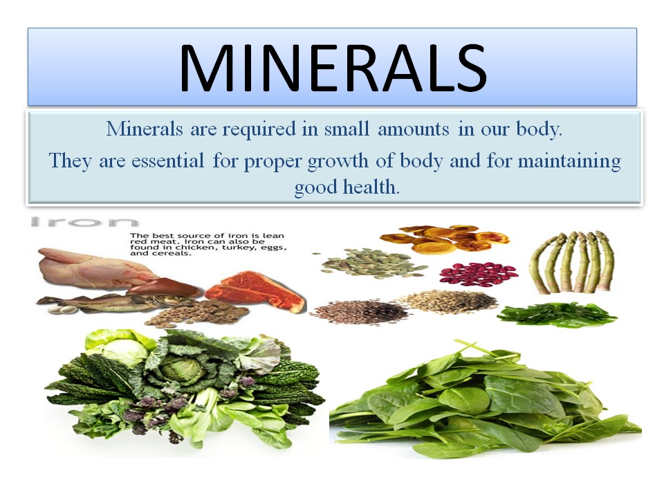 SONU ACADEMY: COMPONENTS OF FOOD-TEXT