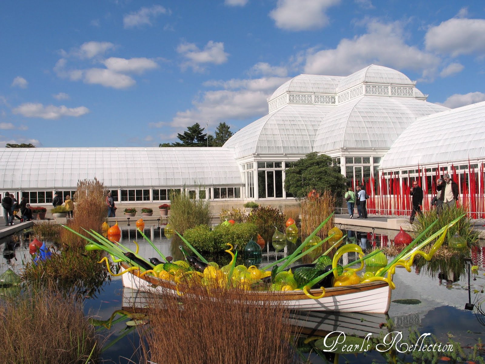 Pearl's Reflection: Dale Chihuly, glass sculptor Pearl's Reflection: Dale Chihuly, glass sculptor
