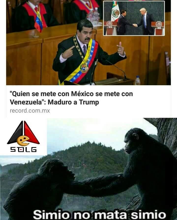 Chiste Gráfico: Simio no mata a simio