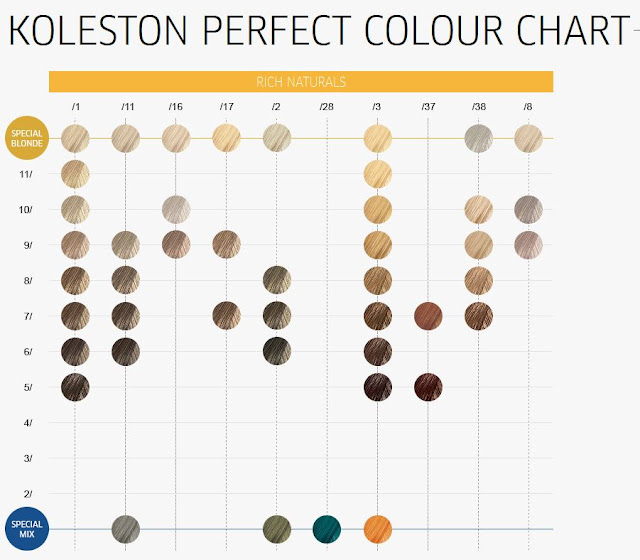 What Exactly Is A Hair Color Booster & Why Do You Need Them ...