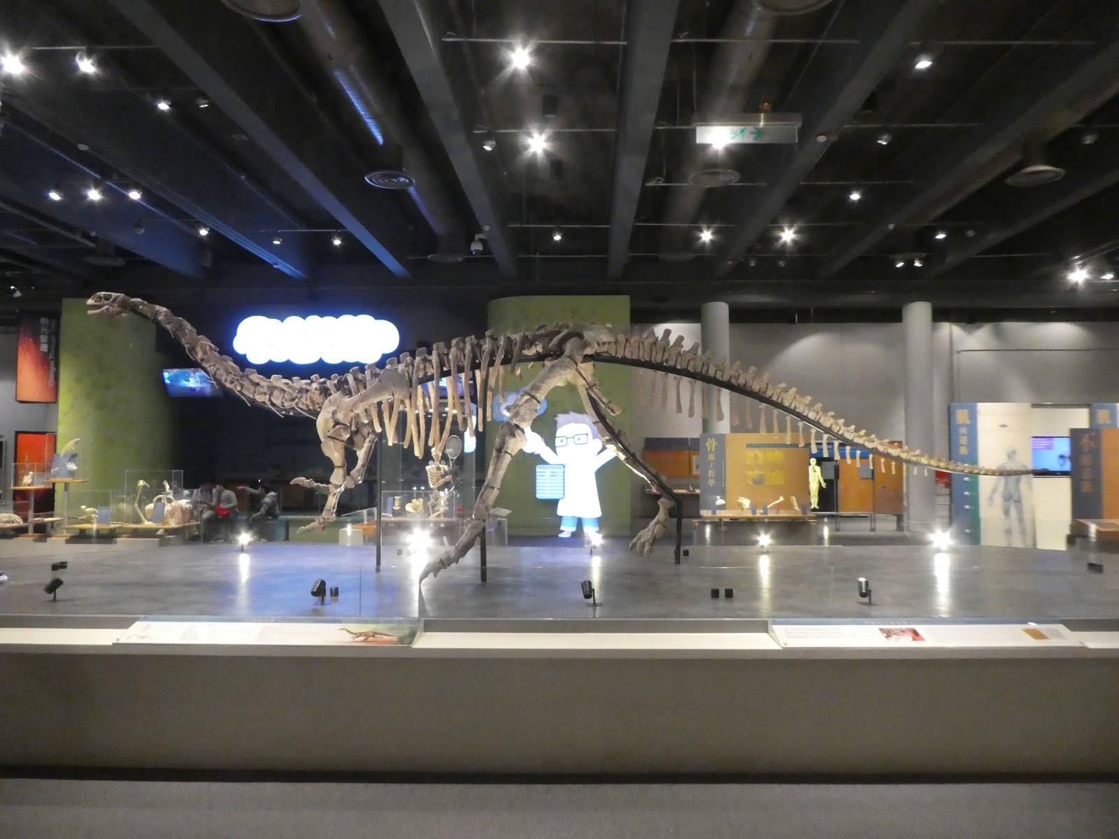 WEBS OF SIGNIFICANCE: Artefacts and fun at the Hong Kong Science Museum!
