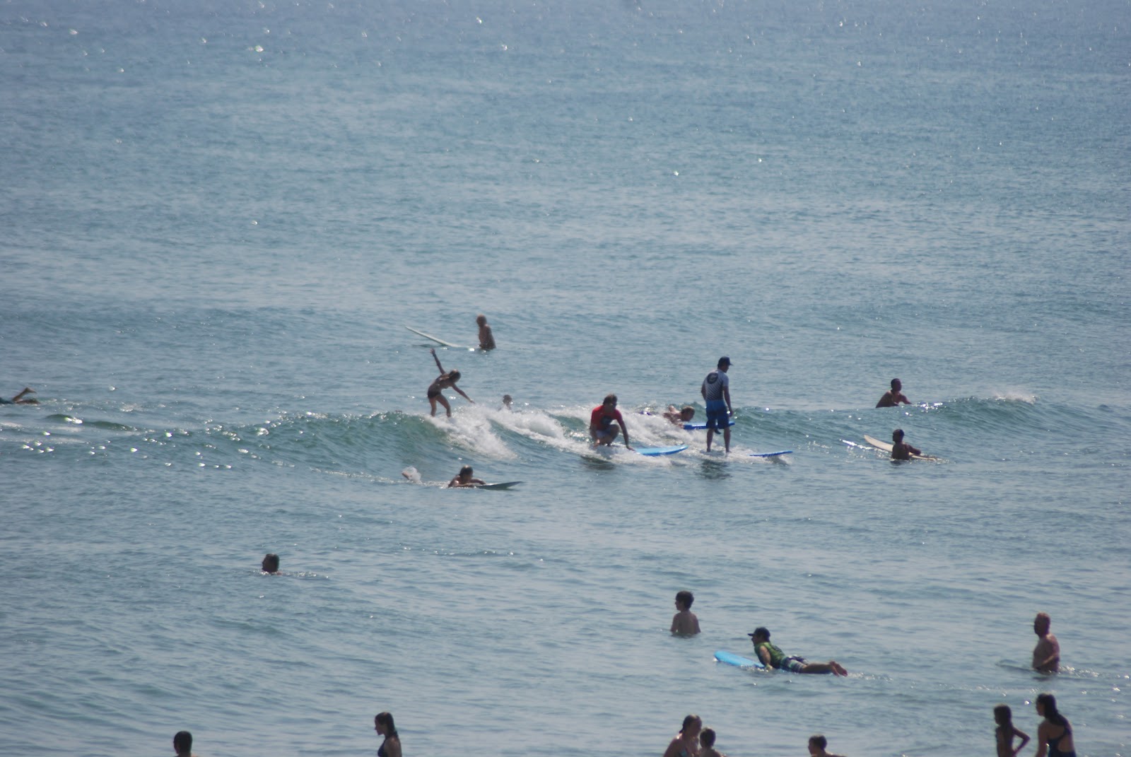 Kitchens Are Monkey Business: Rosie Checks Out The East Coast Surfing ...
