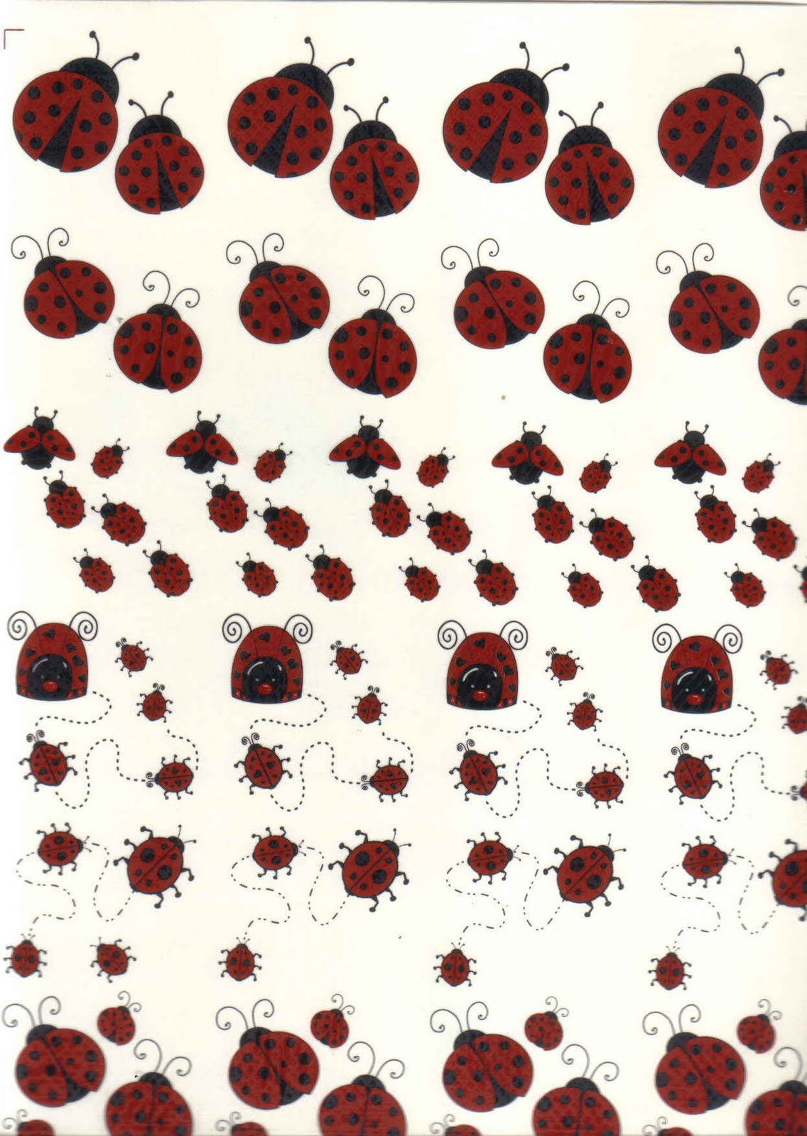 CALCOSYMAS: CALCO COLOR . VAQUITAS SAN ANTONIO