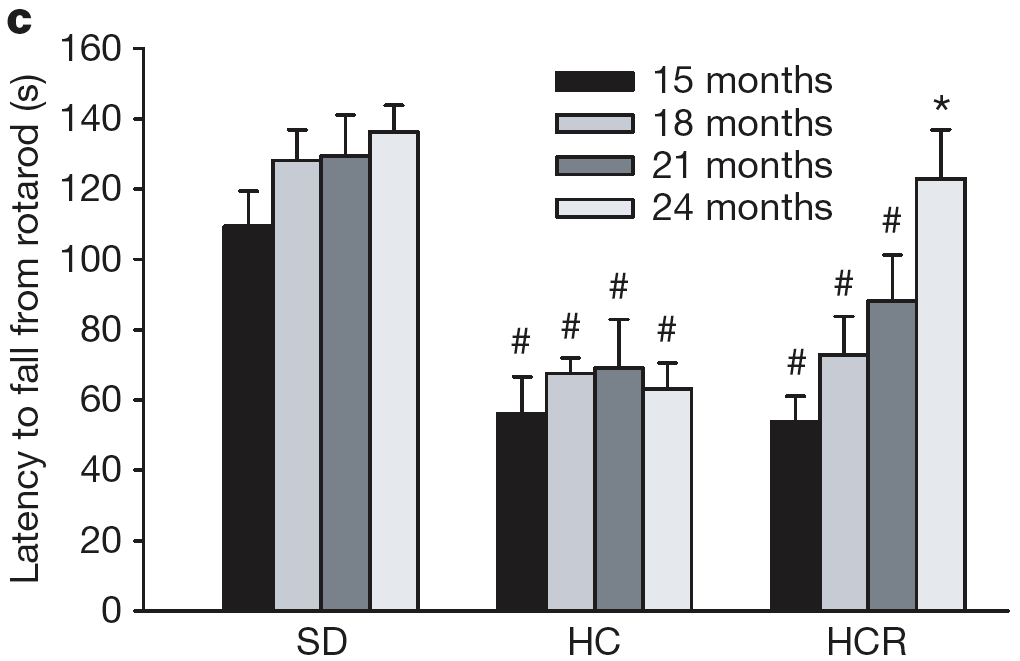 The Boundless Thicket: Red Wine: the Elixer of Life?