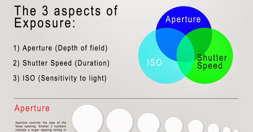 See You Behind the Lens... : Better Exposure in 3 Infographics or Less