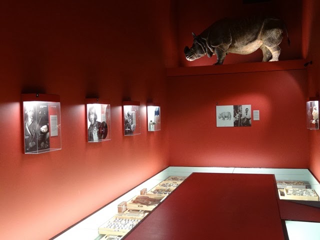 Jacques Huber and the Amazonian Botany: 2013