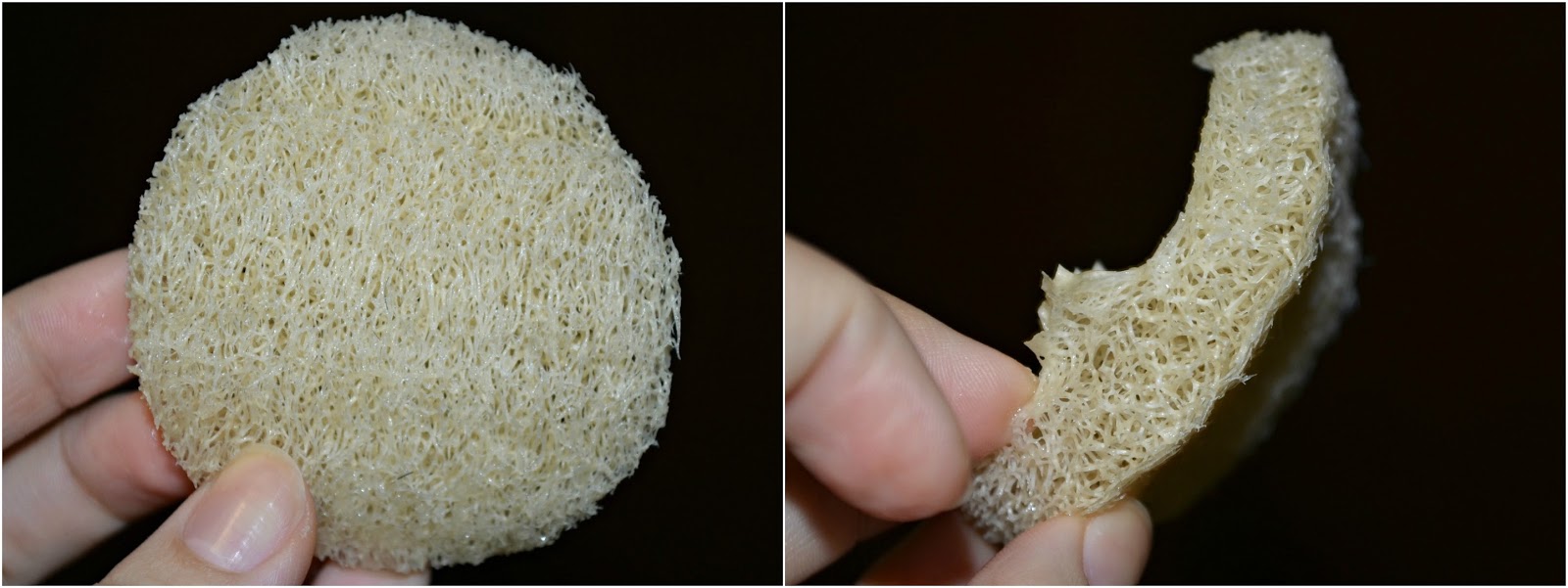 Shuga and Spice: Review: Blvd. Cosmetics Brush Shampoo & Conditioner