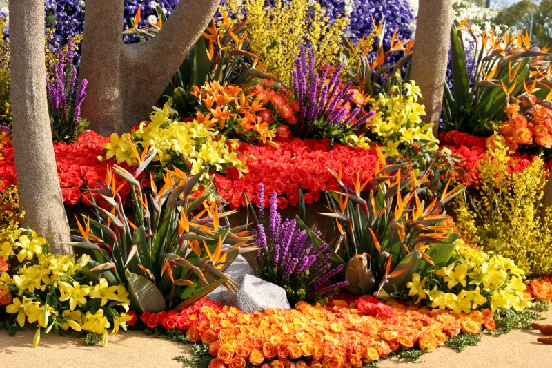 Aleda Costa: Amazing Flower Arrangements Few Pictures