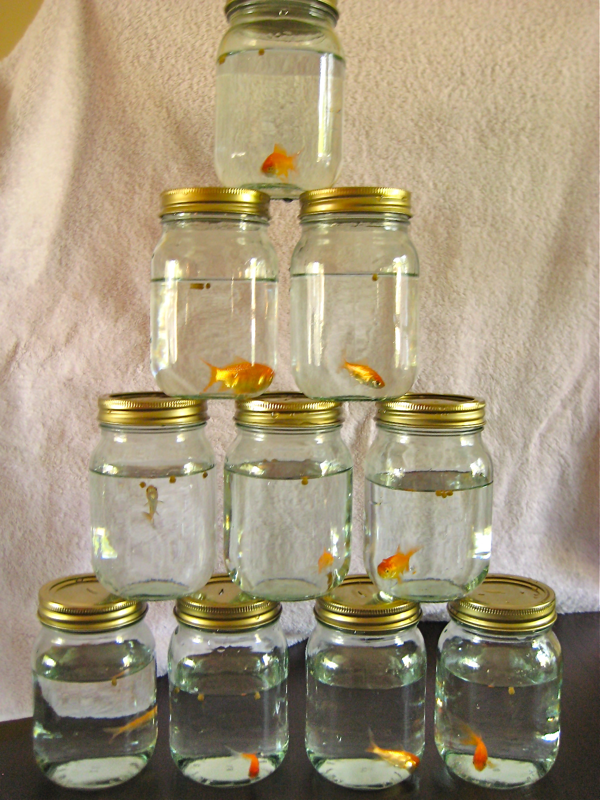 The Desert Chronicles: Observing Biology