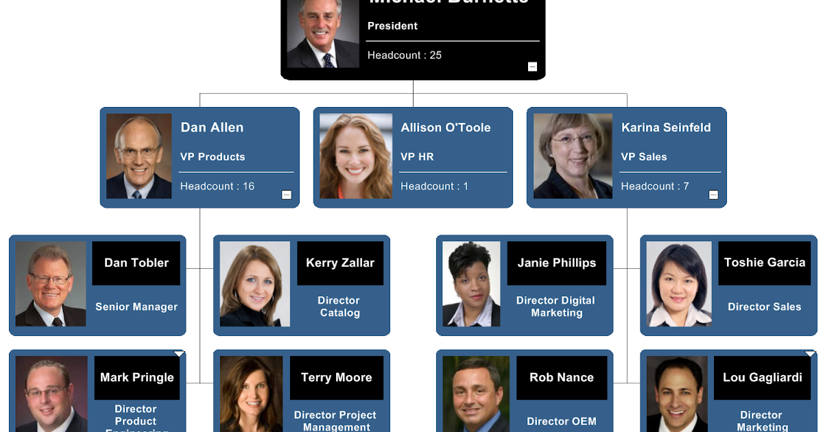 อินเตอร์เน็ตเพื่องานธุรกิจ: ตัวอย่าง Organization Chart