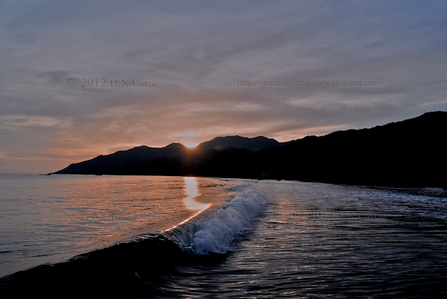 David Catoe Photography