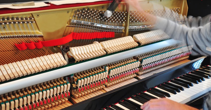 Musical Instrument Maintenance at Home and by Professionals