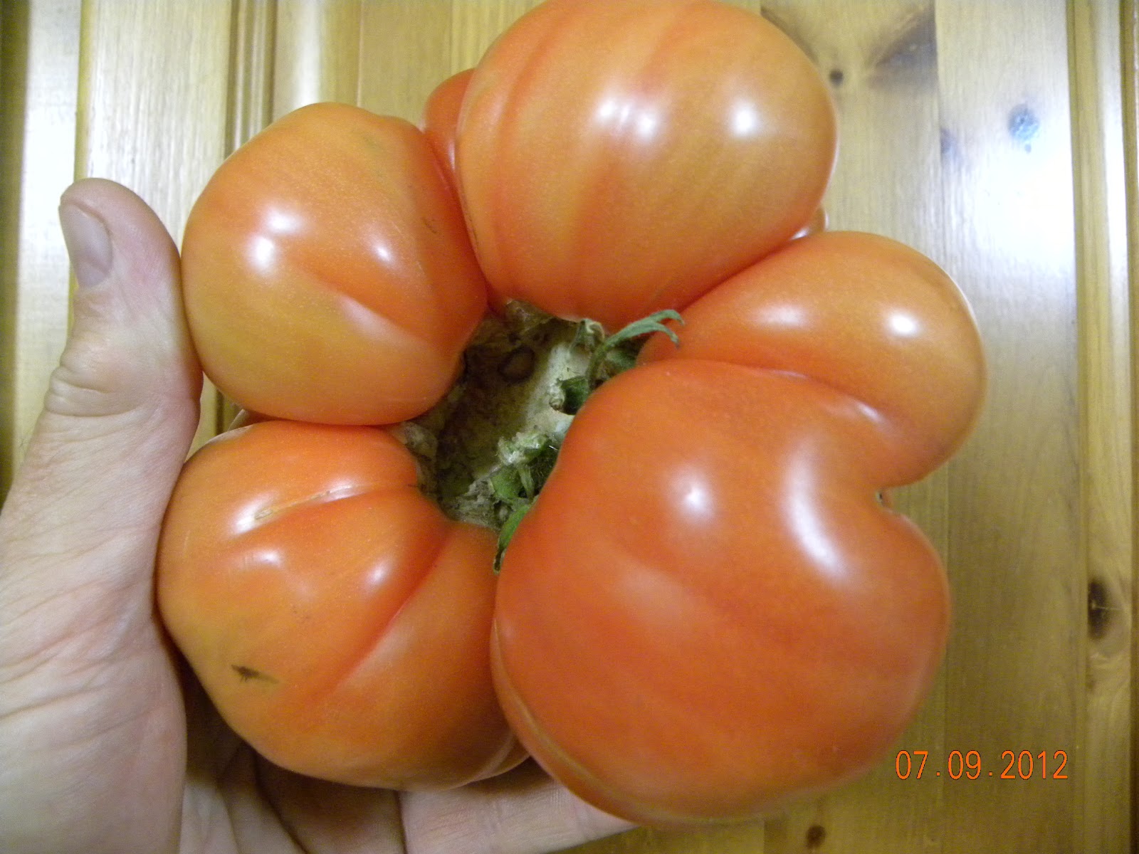 Incoming BYTES: September 2012