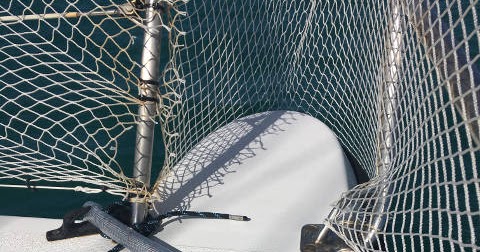 Cat Play: Day 42: Great Keppel Island