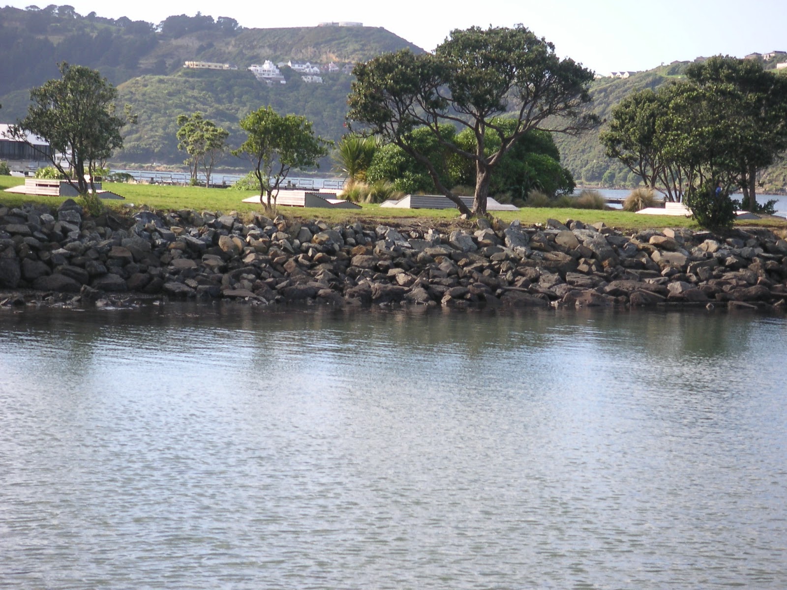 Bliss and the Retiree: Fun at Hataitai Beach