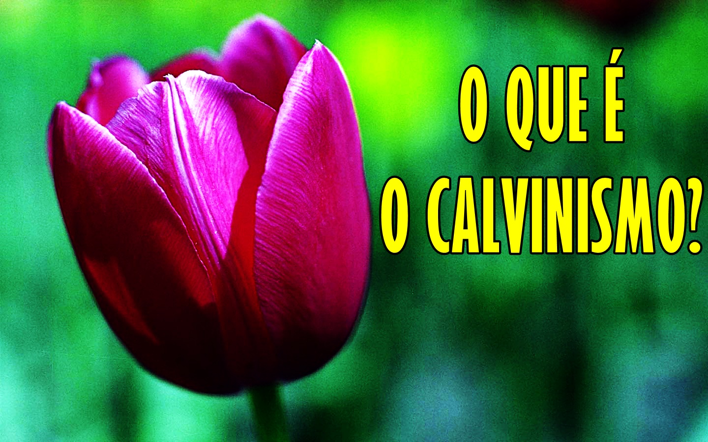Calvinismo 21: O que é o Calvinismo? #01