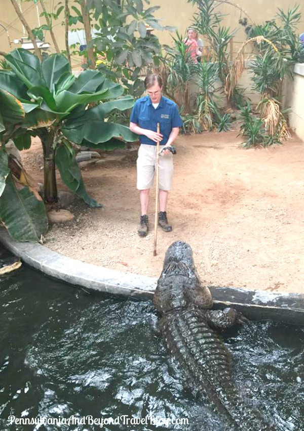 Pennsylvania & Beyond Travel Blog: Educational Fun at Clyde Peeling's ...