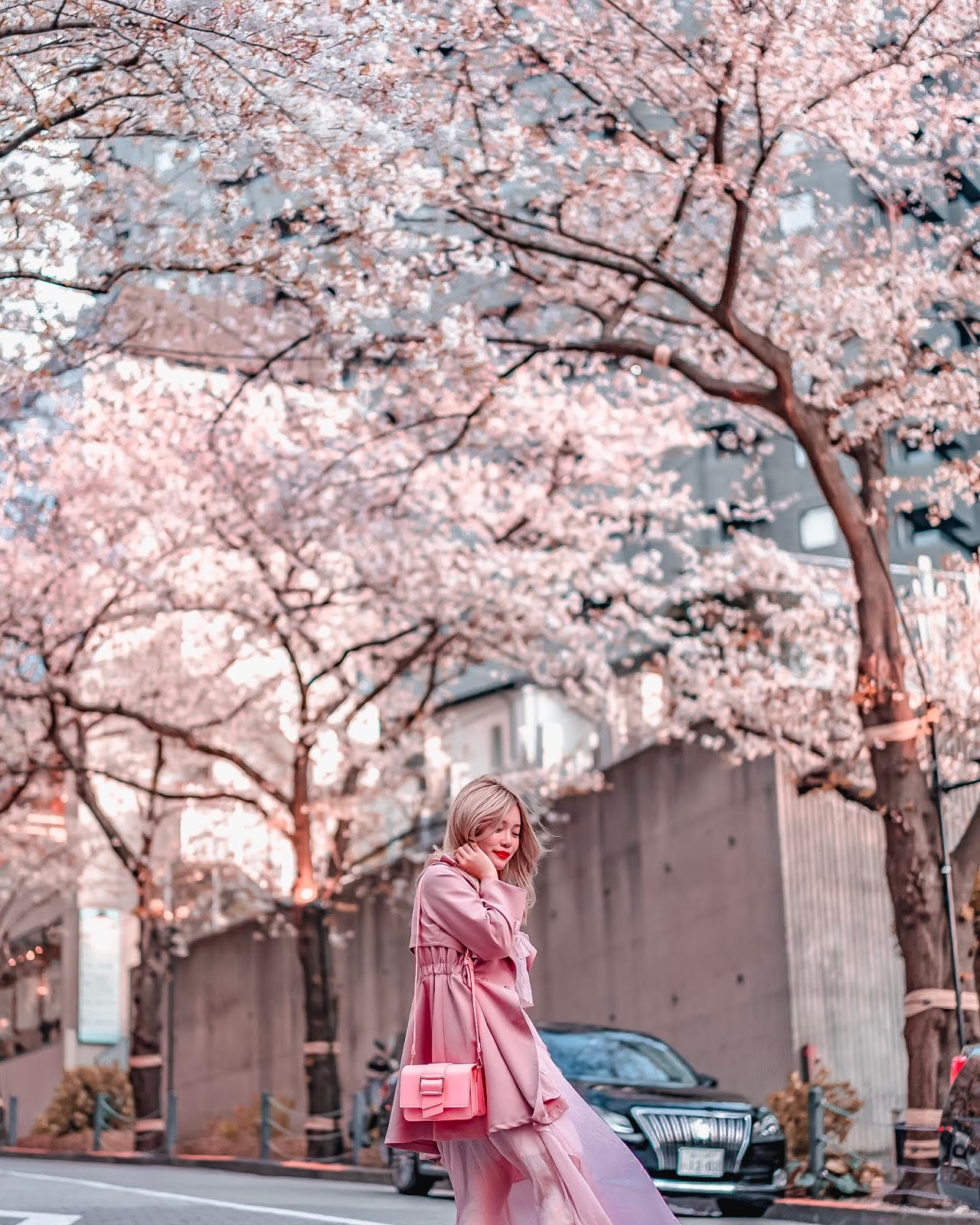 Best Instagram Sakura Spots in Tokyo - Stella Lee ☆ Indonesia Beauty ...