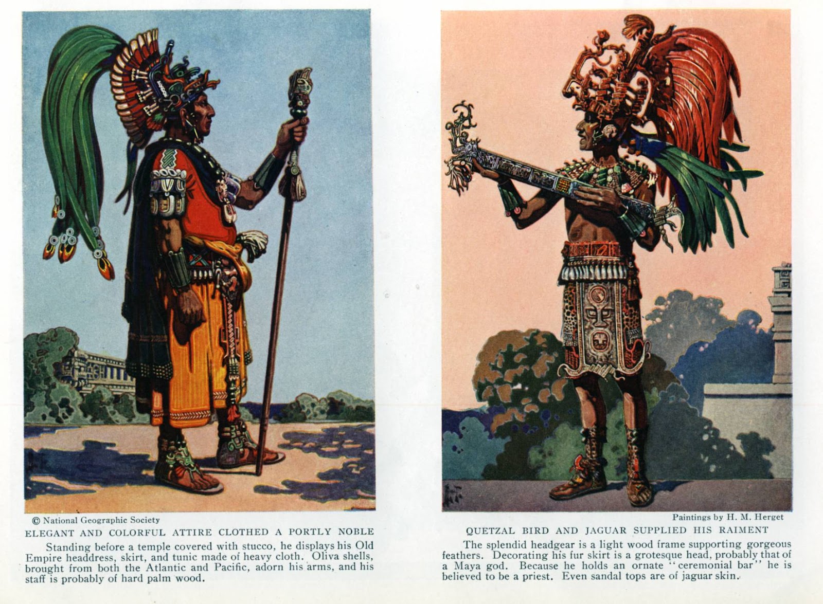 Saved From The Paper Drive: Mayan Illustrations from 1935 National ...