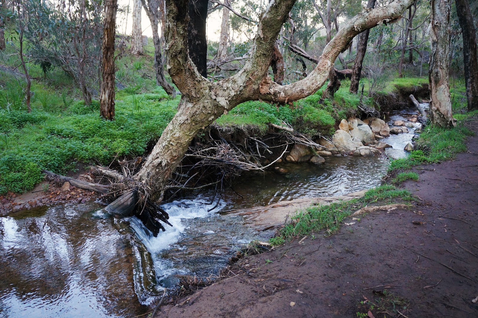 Whistlepipe Gully Walk (Mundy Regional Park) ~ The Long Way's Better