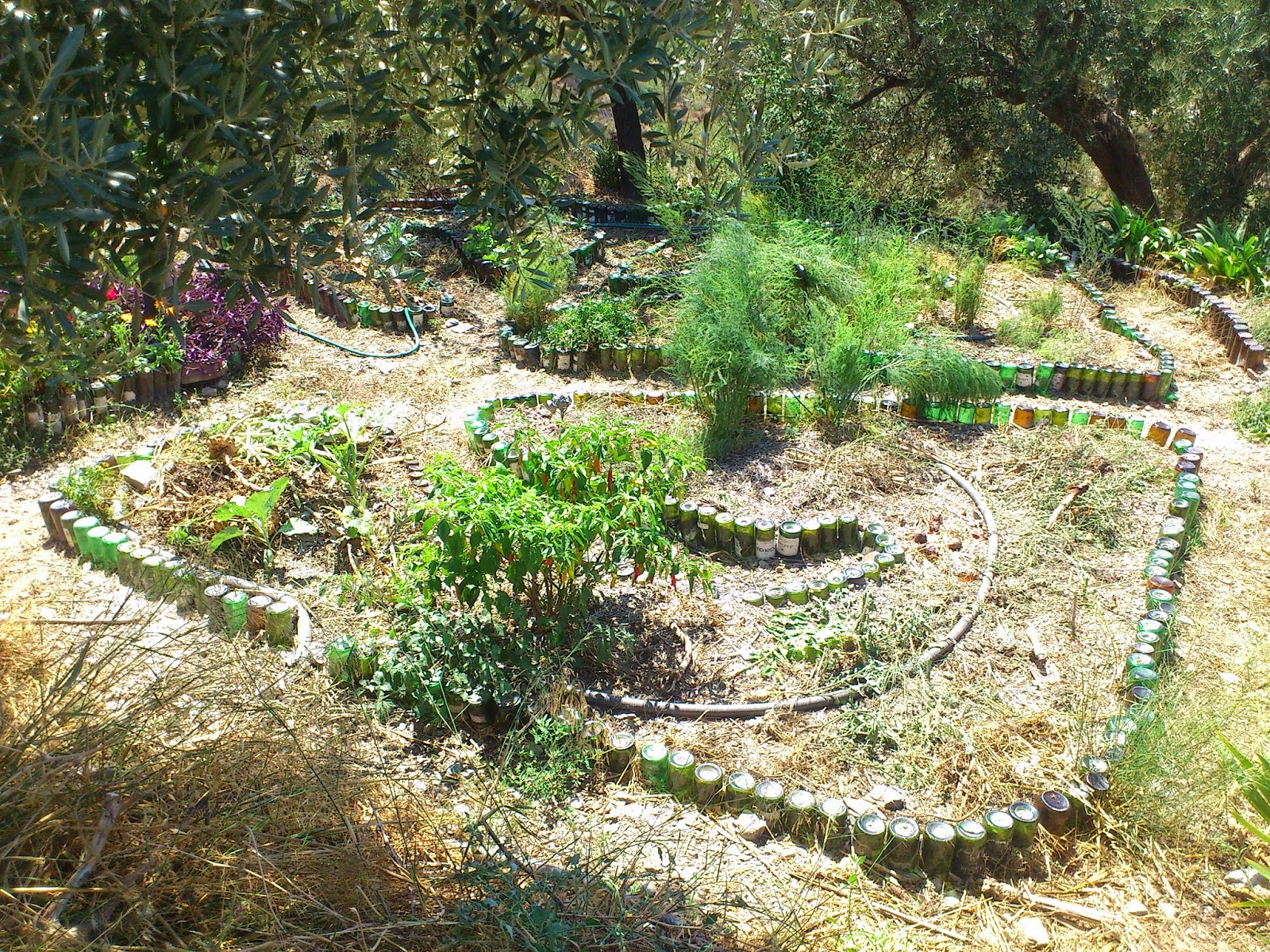 Lady Landscapers: Our services