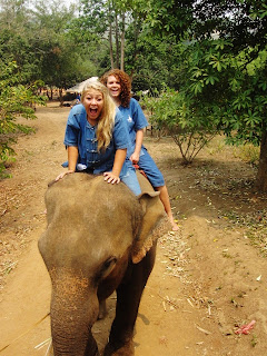 Wander: Bungee Jumping and a day with the Elephants!