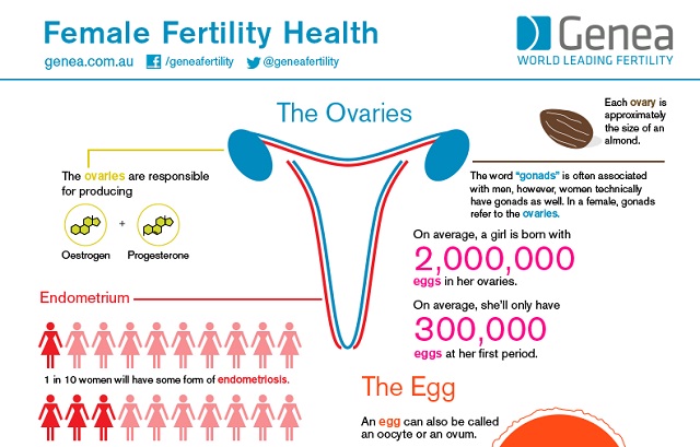 Female Fertility Health #infographic - Visualistan