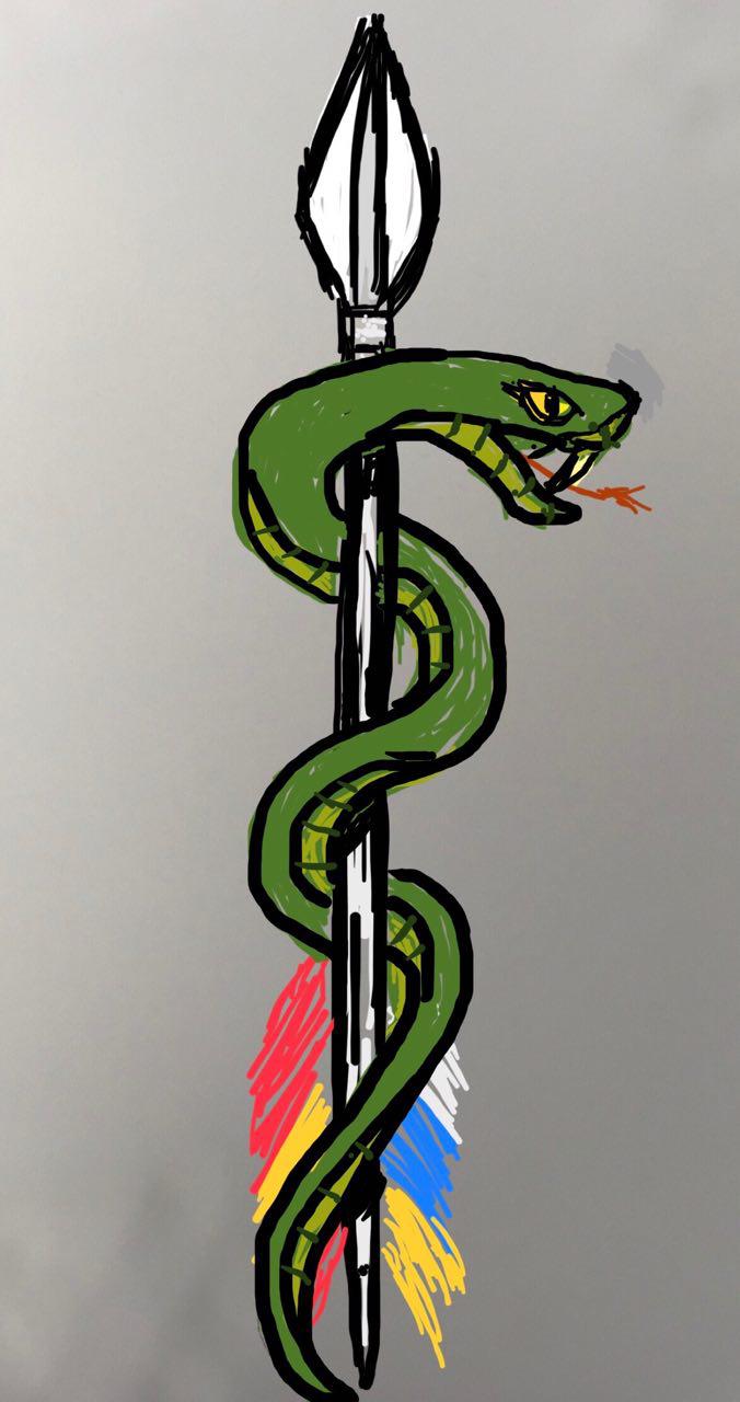 EMS SOLUTIONS INTERNATIONAL by @DrRamonReyesMD marca registrada ...