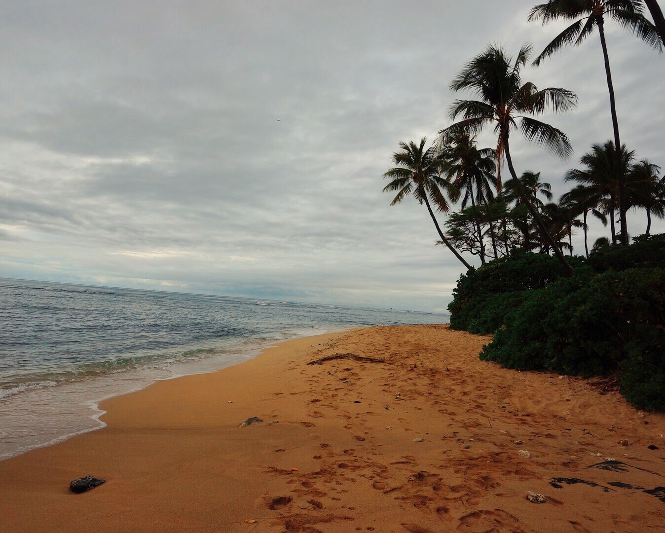 Photo Diary: Spring in Hawaii | a little more lovin' (´｡• ω •｡`) ♡