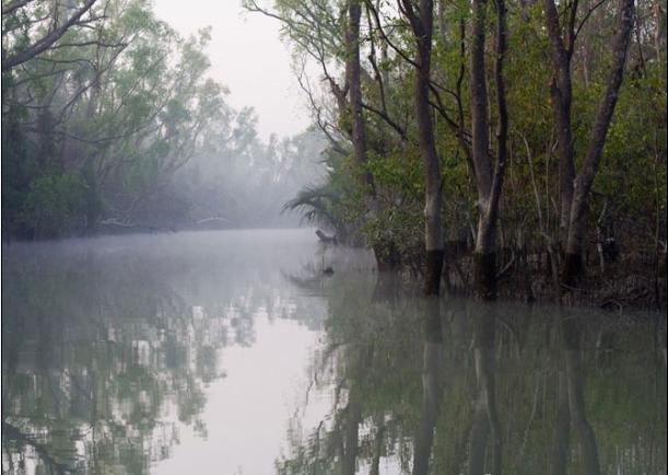 Sundarbans Delta India