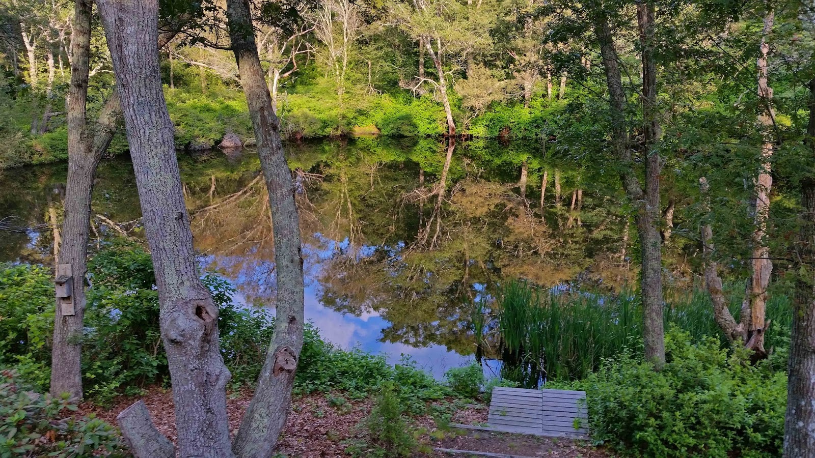 Joe's Retirement Blog: Wandering Around, Manomet, Plymouth ...