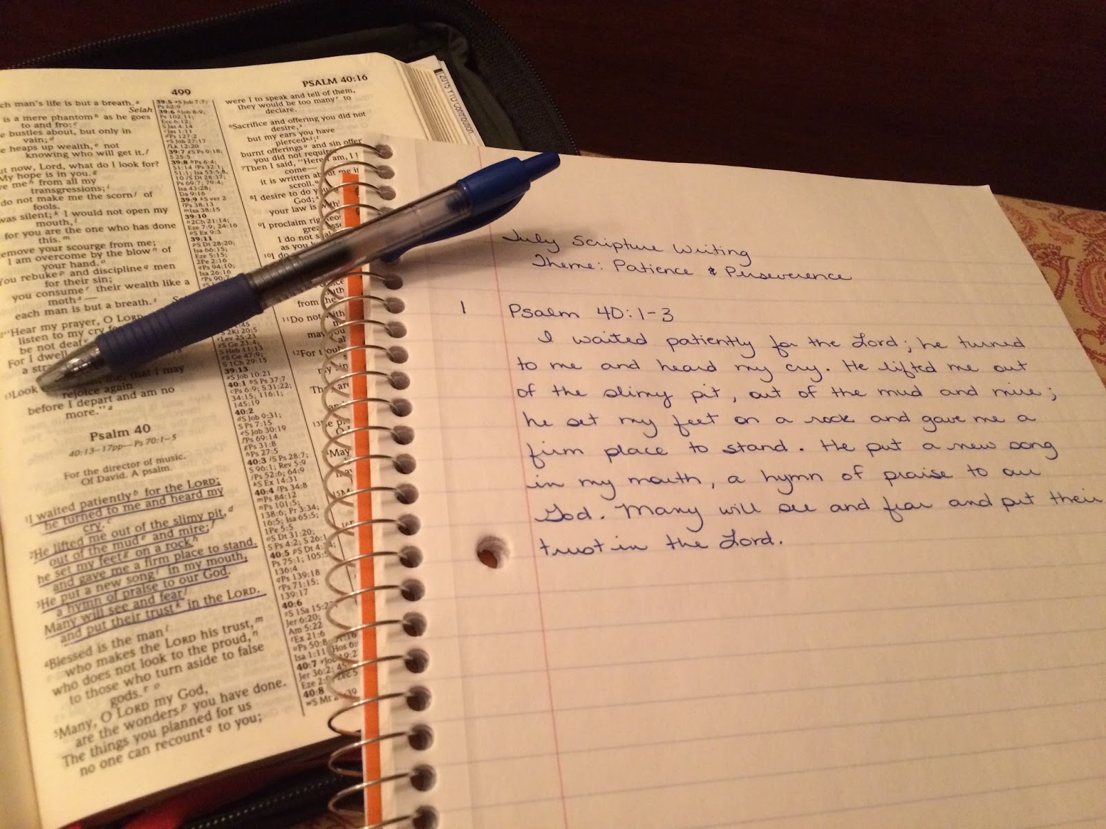 It's all about the journey: Daily Scripture Writing
