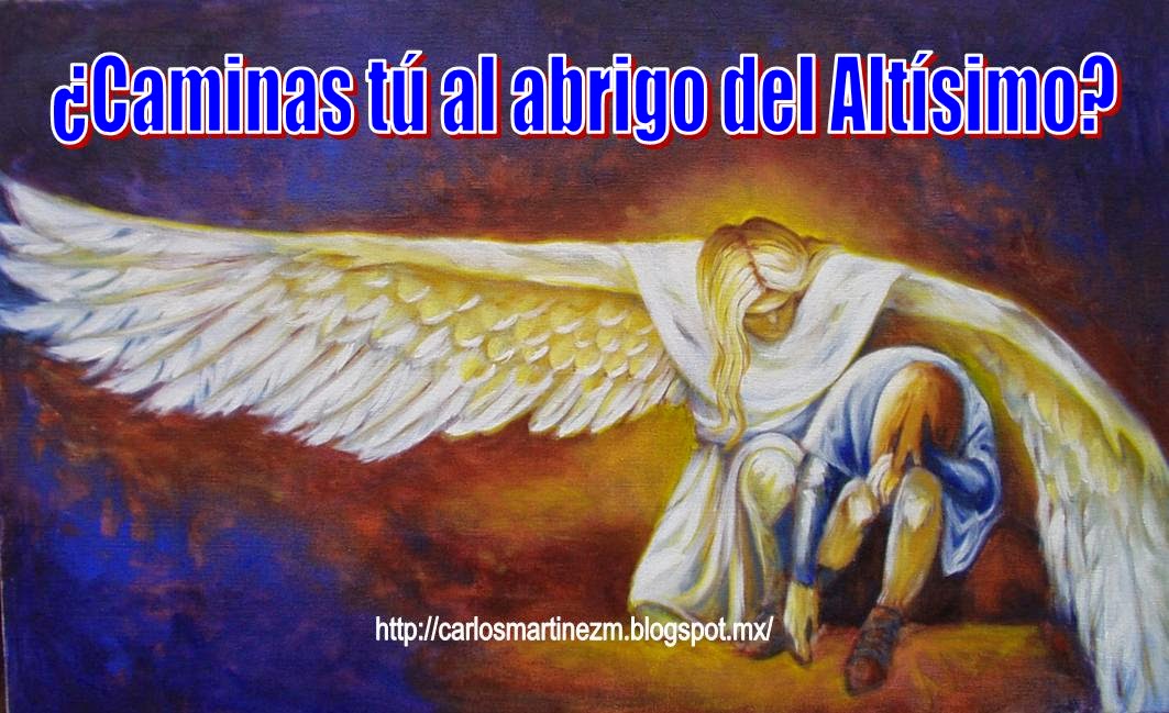 Aprendiendo la Sana Doctrina: ¿CAMINAS TÚ AL ABRIGO DEL ALTÍSIMO?