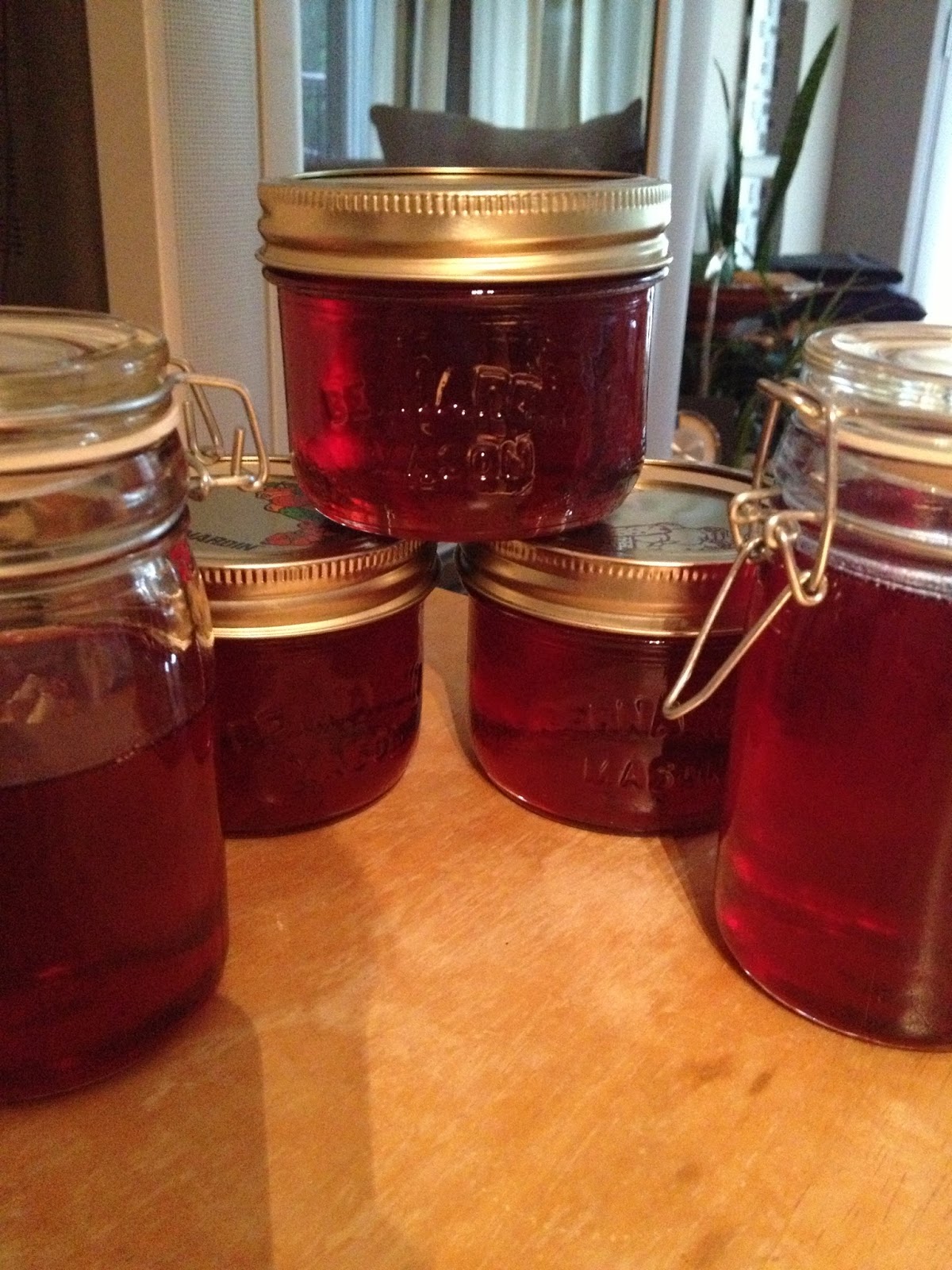 ZolaSoleil.... sous le soleil: cuisine et vélo: Gelée de gadelles ou ...