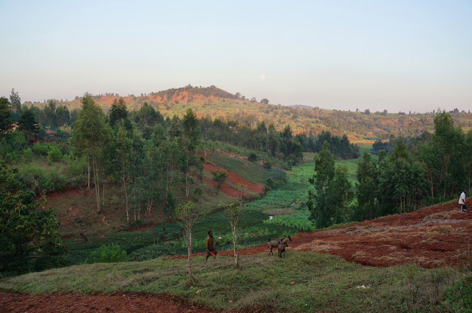 Beyond our Backdoor: The Beauty of Burundi