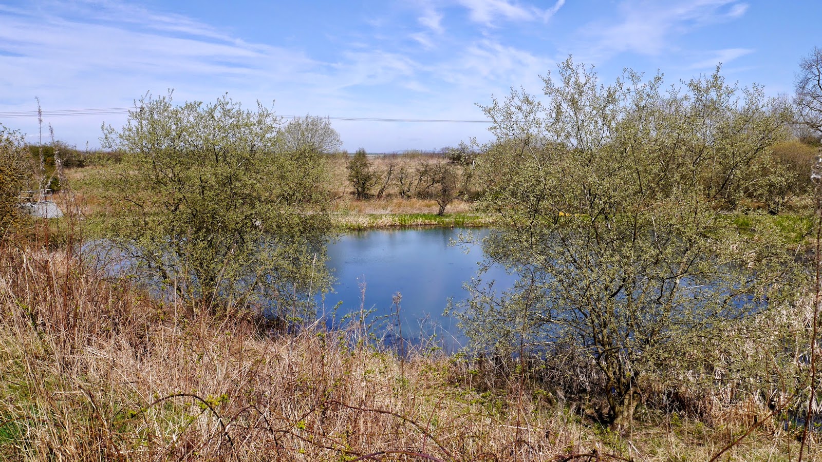 Walking and Crawling: From Uphall to Livingston Cricket Club: 19th ...