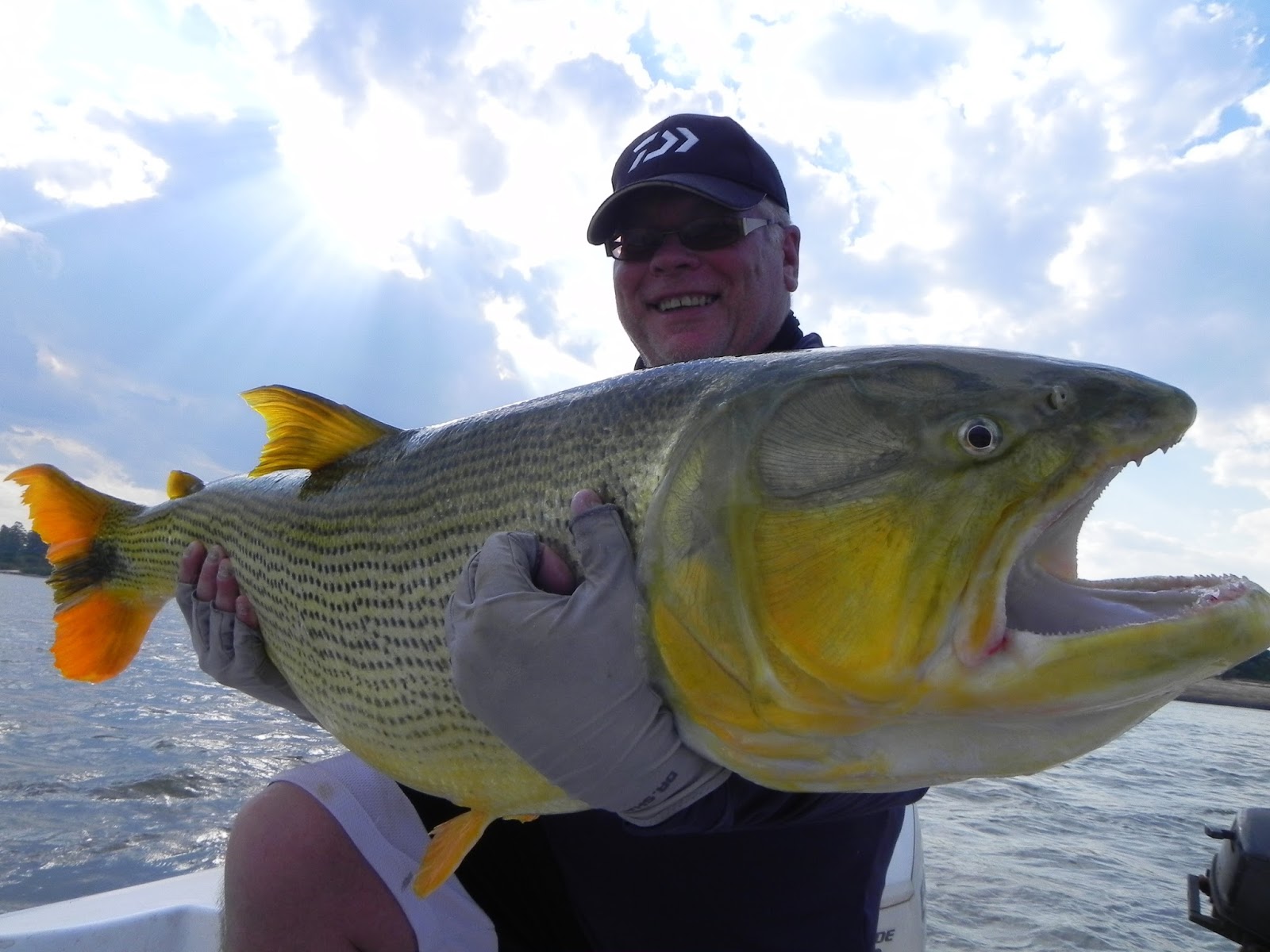 THE FISHING NEWS: La Zona, Uruguay River, Golden Dorado January 5th to 8th