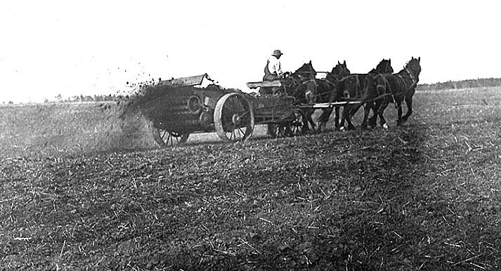 28 Old Photos Capture Daily Life of a Family in Gully, Minnesota From ...