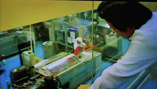 LAMOIYAN CORPORATION: 25 Years of Hapee Smiles ~ Travel, Photographs ...