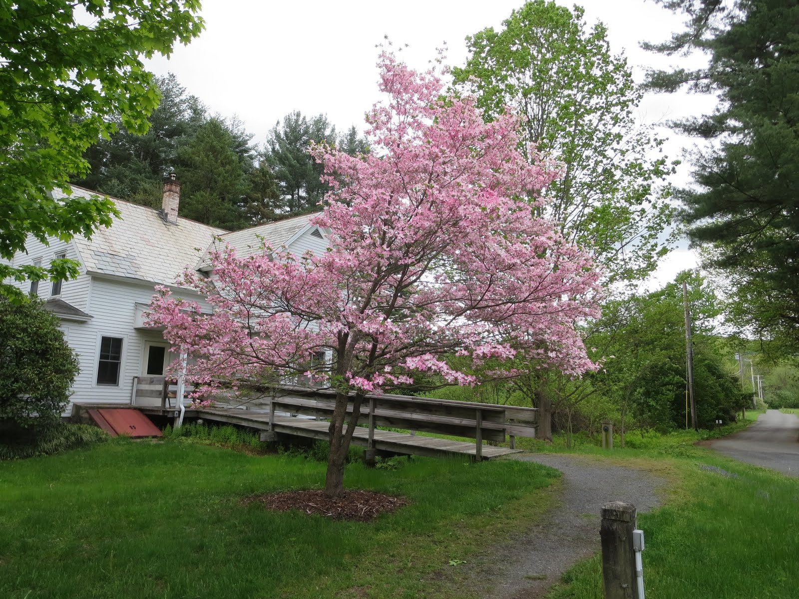 Valhallaoven's Travel log: Mass Audubon Arcadia Wildlife Sanctuary