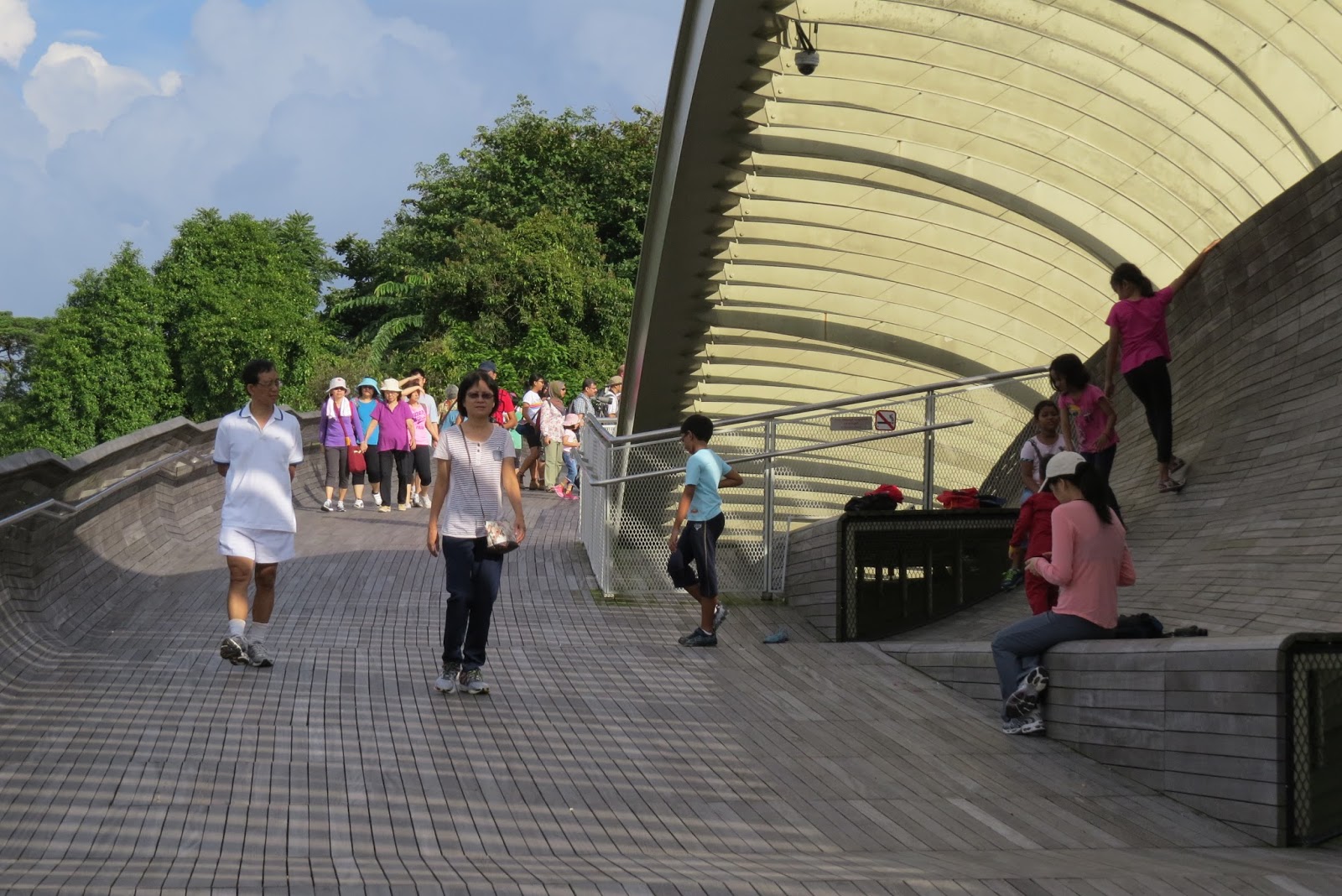 Owen Residents Committee 奥云居委会: Briskwalking - Henderson Wave to Hort Park