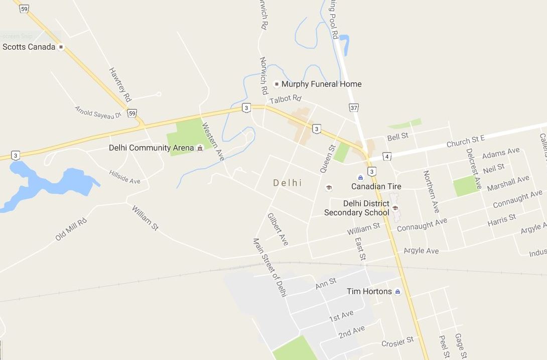 TōnFerns - A Nostalgic Journey (Tony Fernandes): DELHI IN ONTARIO, Canada