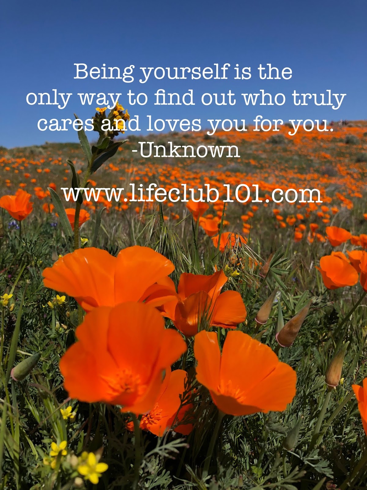 Life is so beautiful.Live your life and enjoy every moment of it: Quote ...